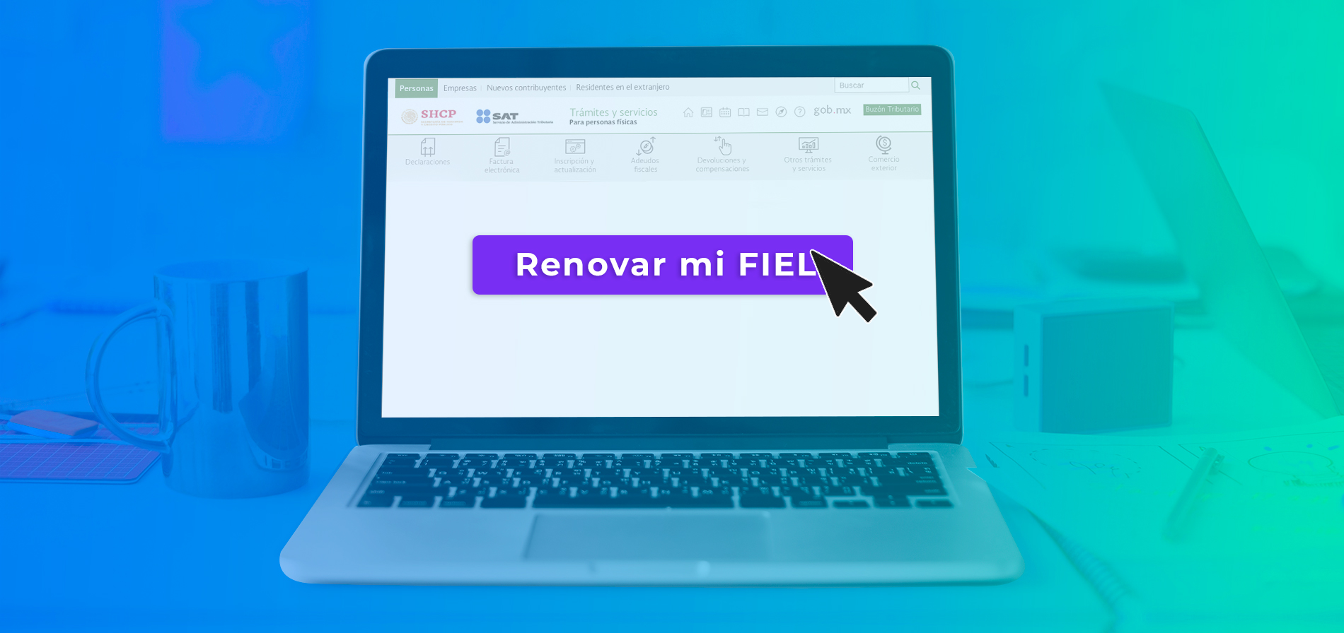 Cómo Renovar la FIEL: Guía Completa y Detallada